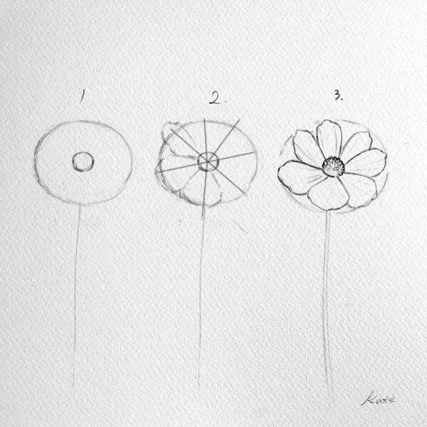 35+ Flower Drawings for Beginners- Step by Step | HARUNMUDAK