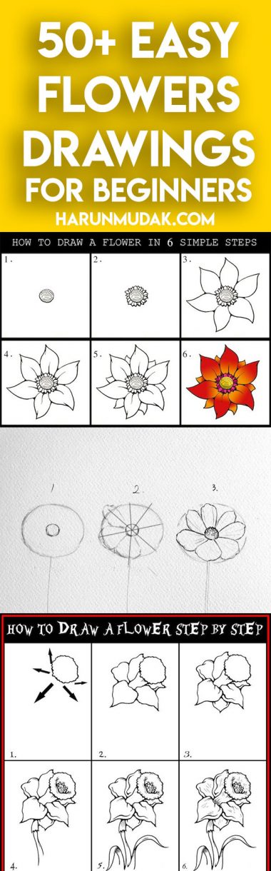 35+ Flower Drawings for Beginners- Step by Step | HARUNMUDAK