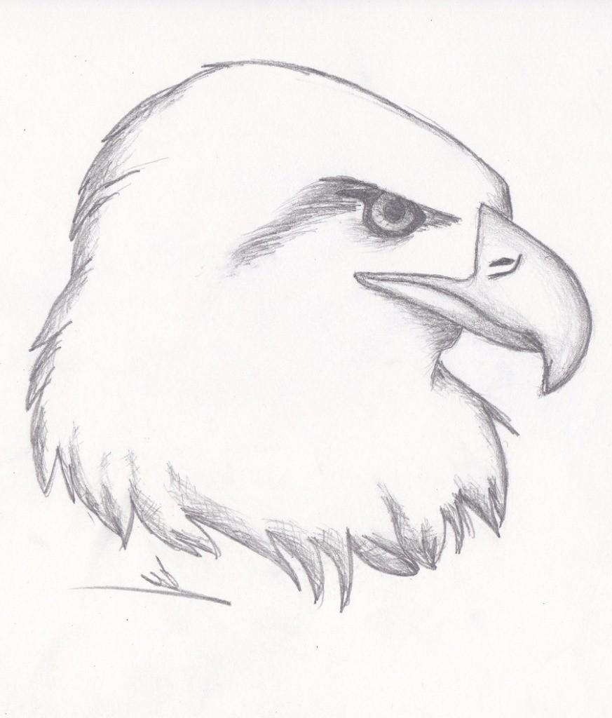 50 Easy Animal Sketches Drawing Ideas HARUNMUDAK 50 Easy Animal Sketches Drawing Ideas HARUNMUDAK