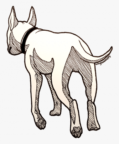 How to Draw a Dog? - 10 Dog Drawing Tutorials | HARUNMUDAK