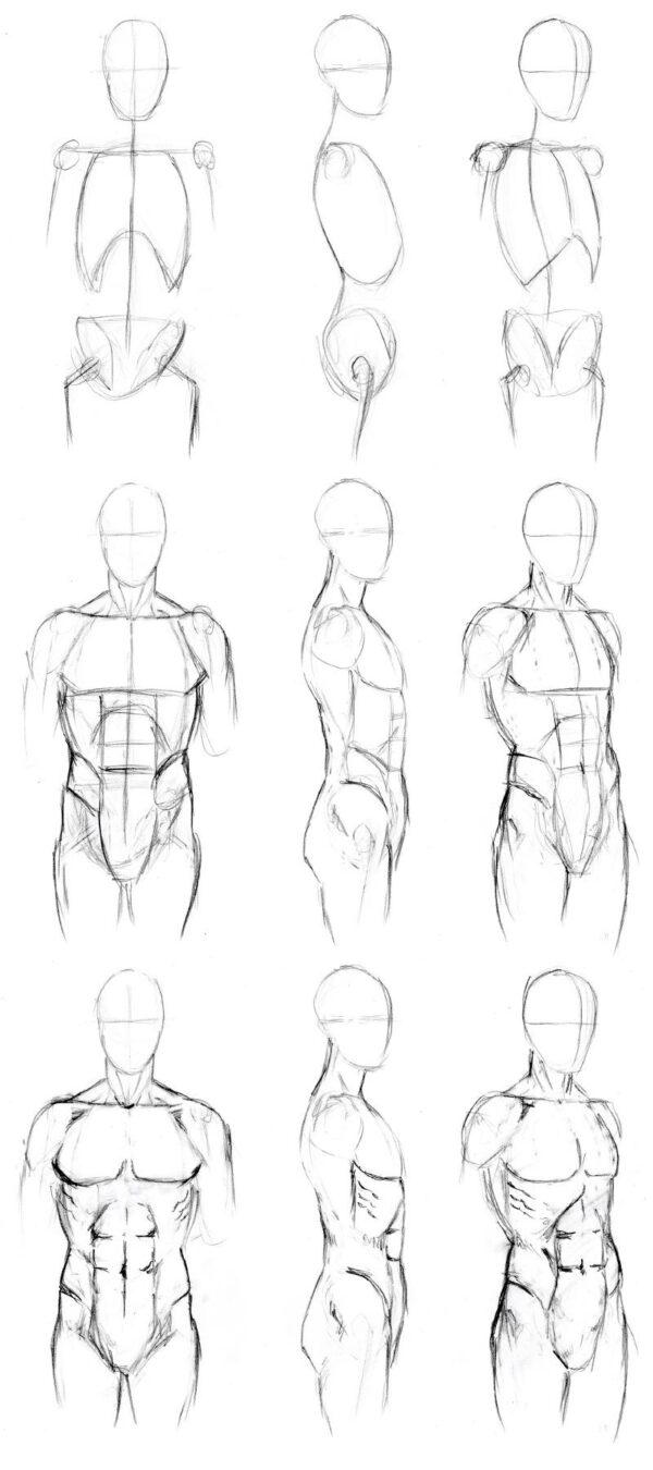 20+ How to Draw Body Shapes Step by Step | HARUNMUDAK
