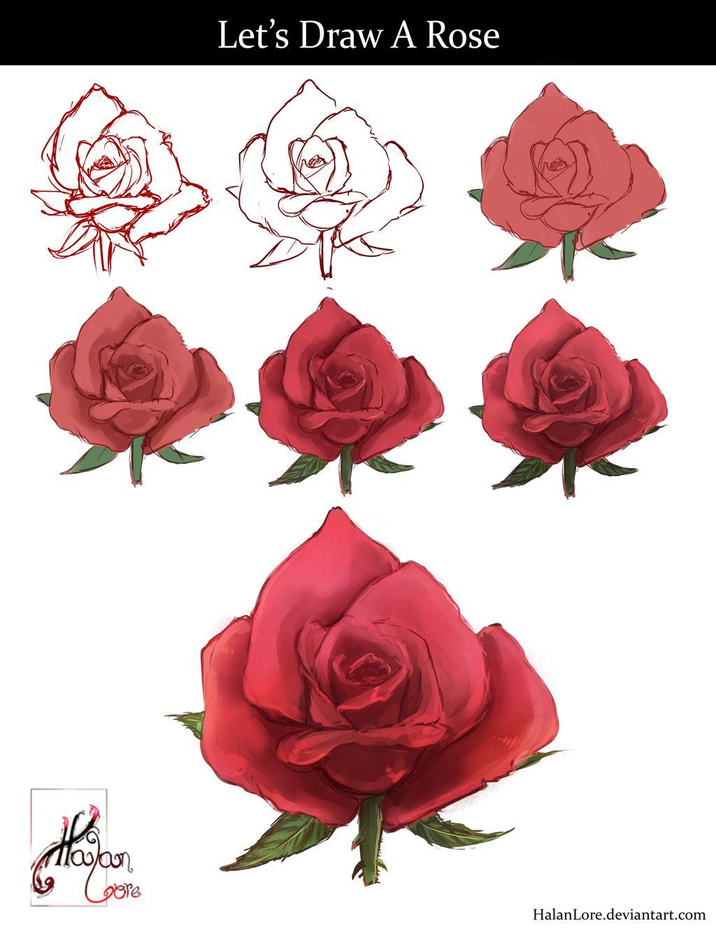 40+ How to Draw a Rose? Easy Rose Drawing Tutorials | HARUNMUDAK