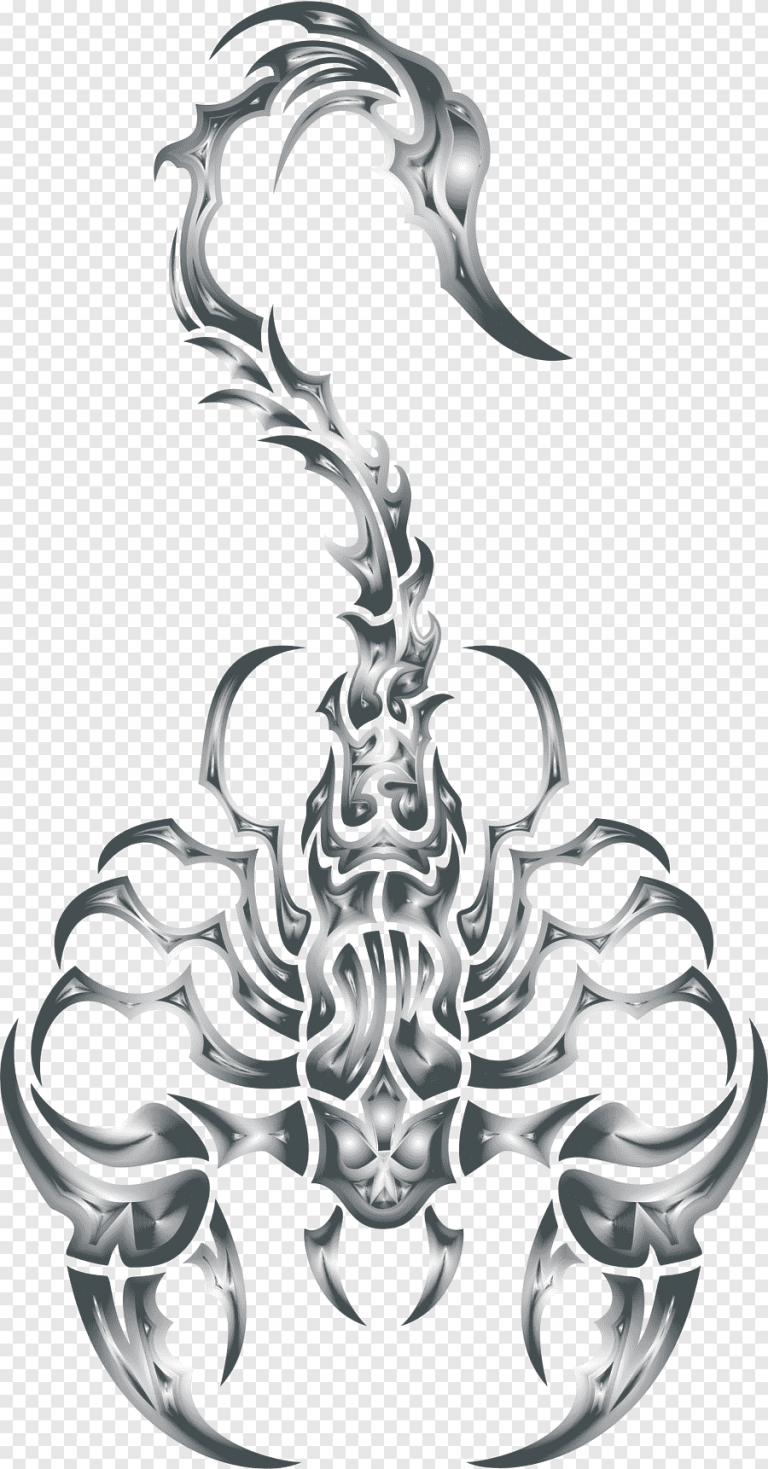 10 Scorpion Tattoo Ideas Harunmudak