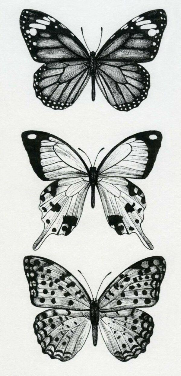 35+ Butterfly Drawing Ideas | HARUNMUDAK