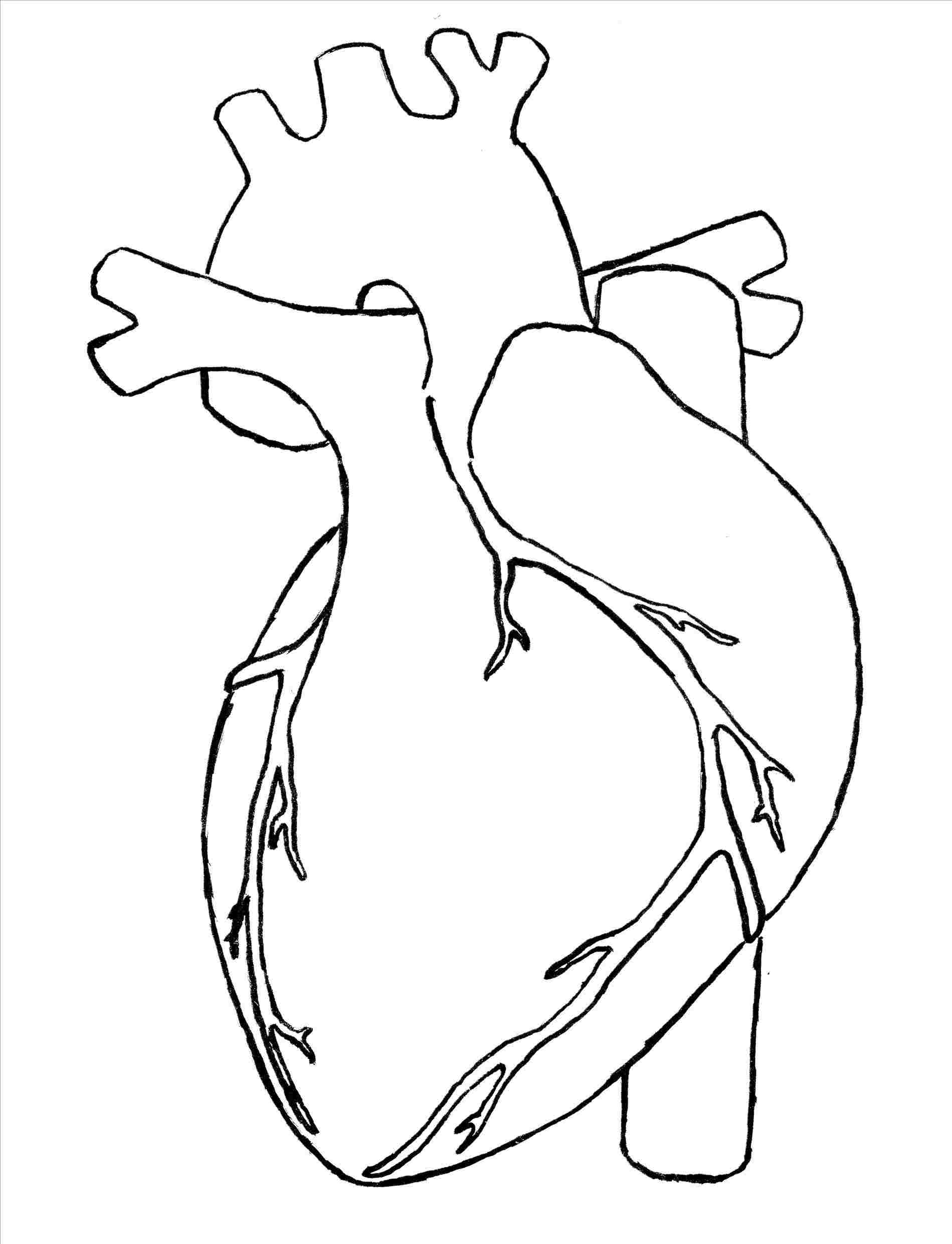 15+ Heart Drawing Ideas For Love | HARUNMUDAK