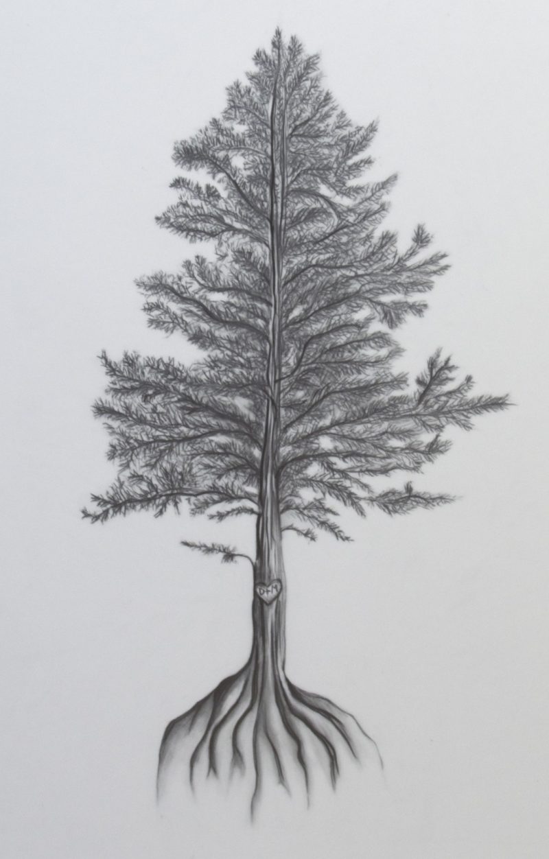 20+ Tree Drawing Ideas For Everyone | HARUNMUDAK