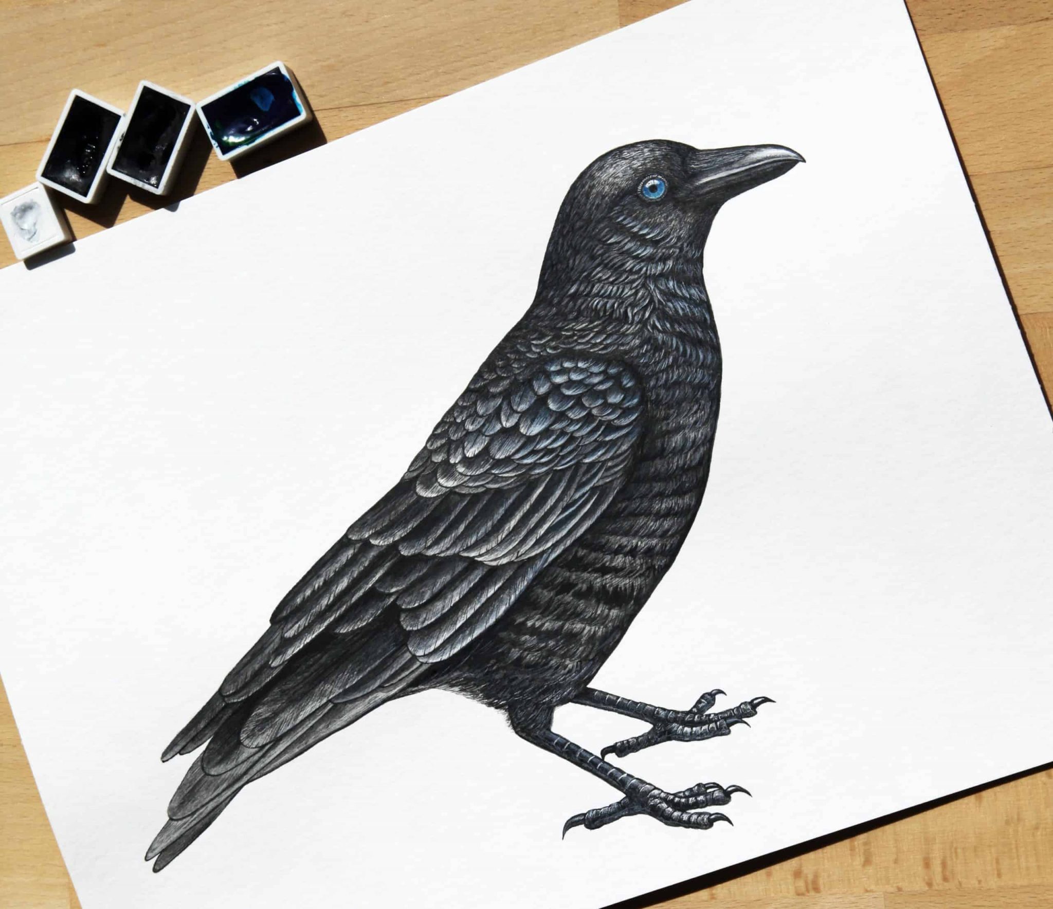 60+ Best Bird Drawing Idea Tutorials - How To Draw Bird? | HARUNMUDAK