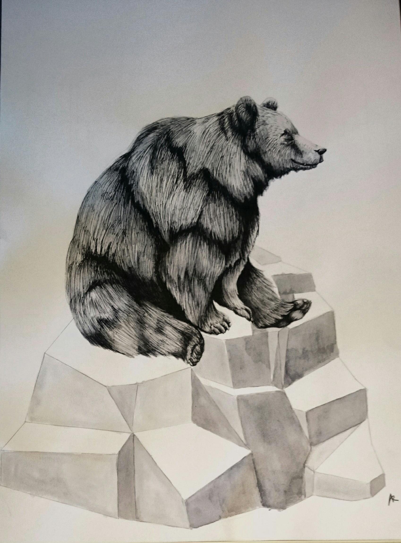 How To Draw Bear? 50+ Bear Drawing Ideas | HARUNMUDAK