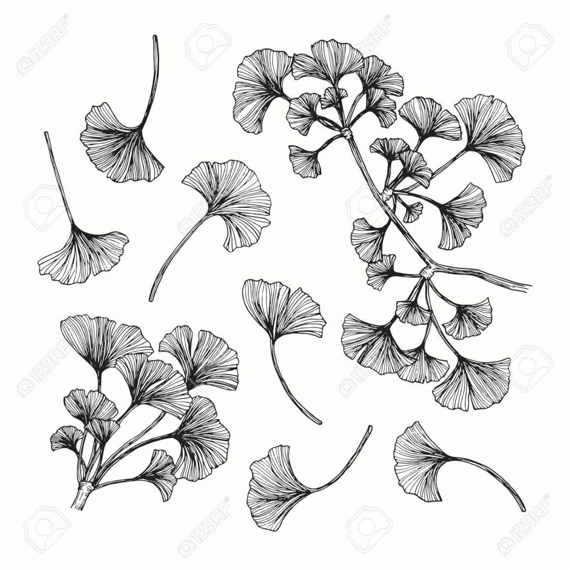 30+ Simple Leaf Drawing Ideas - How To Draw Leaf? | HARUNMUDAK