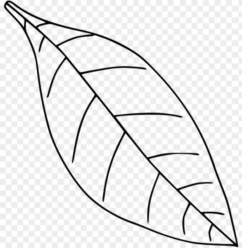 30+ Simple Leaf Drawing Ideas - How To Draw Leaf? | HARUNMUDAK