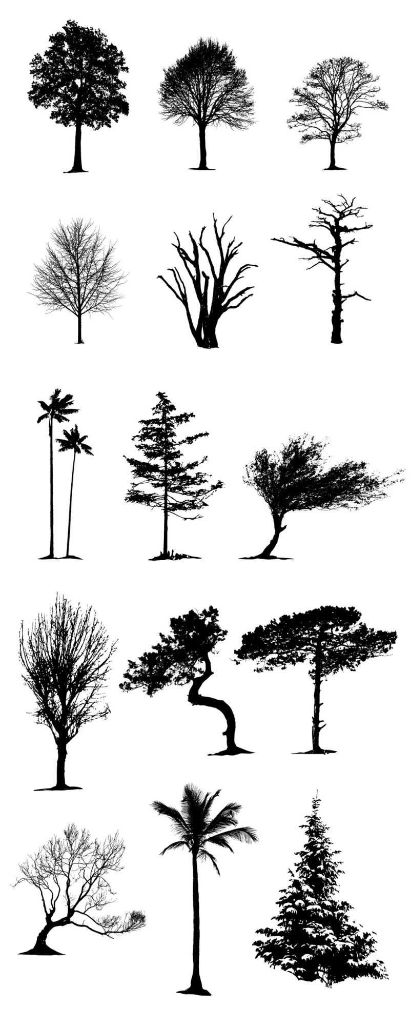 Tree Silhouette Images & Drawings | HARUNMUDAK